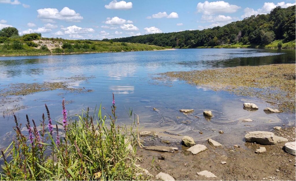 Publication of the CIS document “Integrated sediment management ...